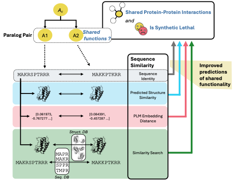 Olivier's paper evaluating alternative protein representations for predicting shared paralog ...